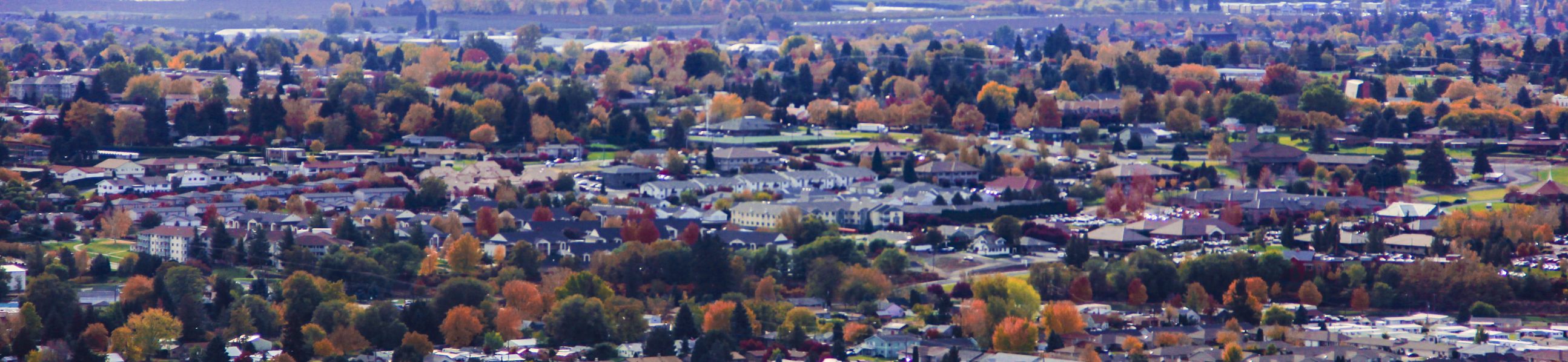 Yakima Autumn Trees | Media