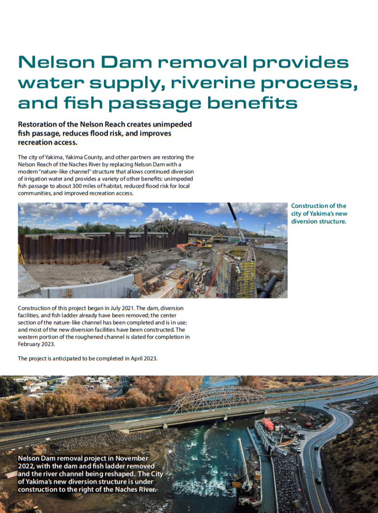 Nelson Dam project | Media