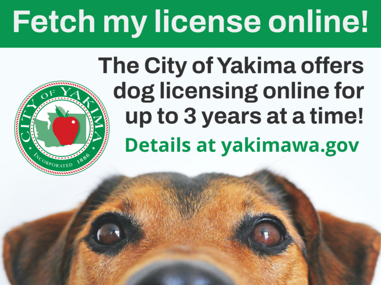 City to Offer Online Dog Licensing | News – City of Yakima