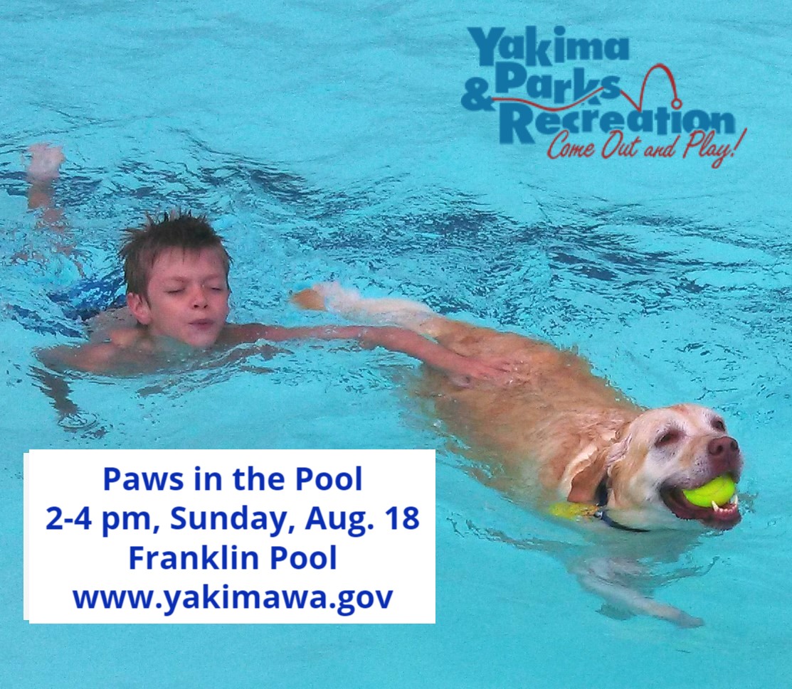 Paws in the Pool is Sunday, Aug. 18th | News – City of Yakima