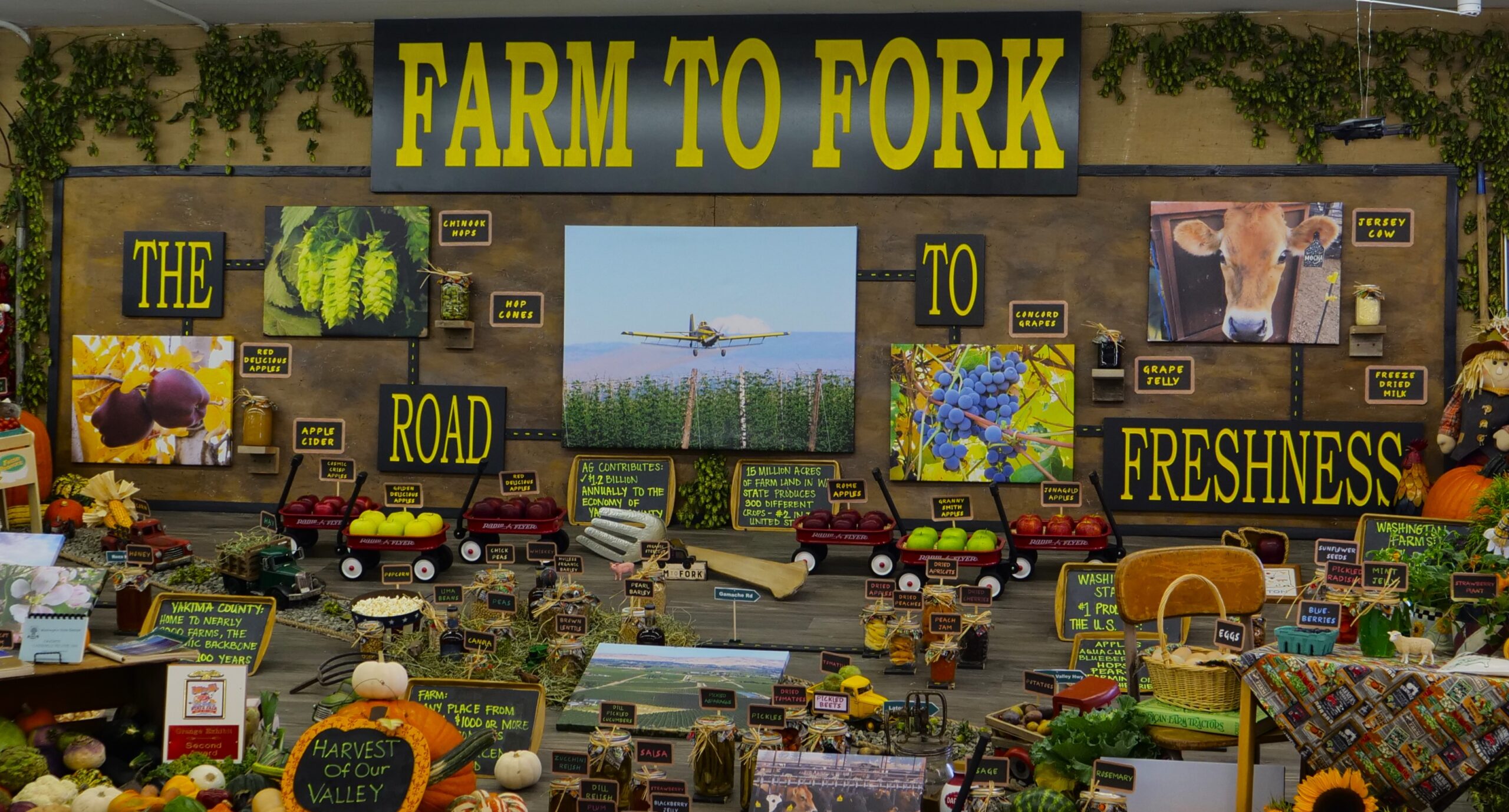 Fair Fun | Photo of the Week