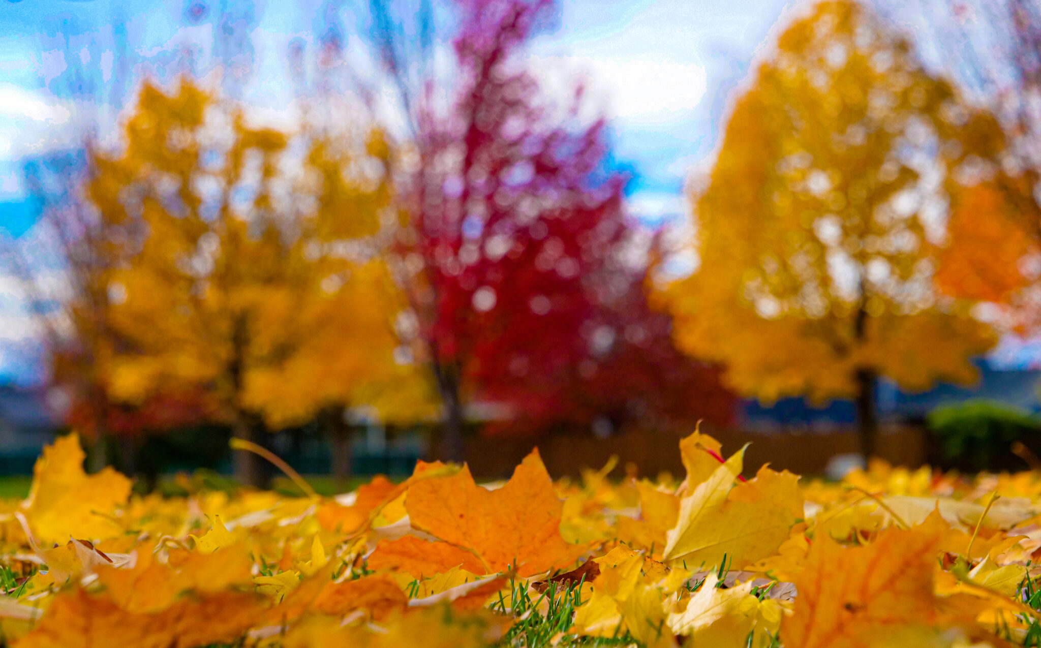 Photo of the Week-Fall Colors | Photo of the Week