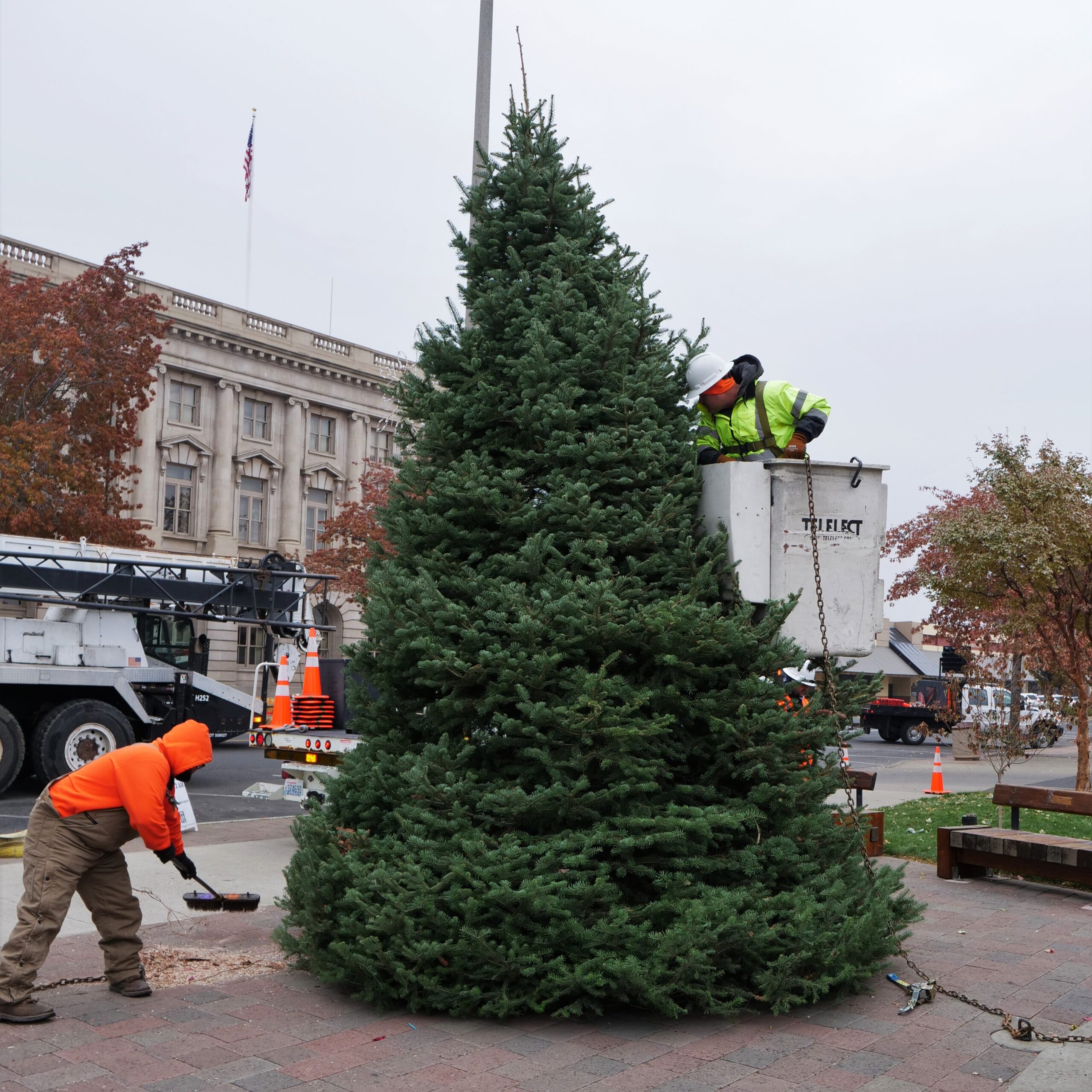 Christmas Tree Trimming