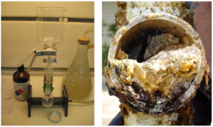 Fats, Oil, & Grease | Wastewater Treatment Plant